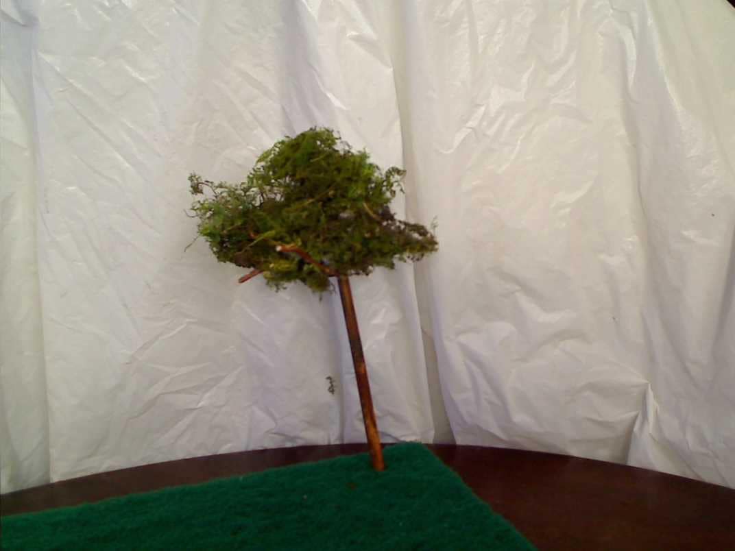 Renewable Energy Diorama - Projects for Kids